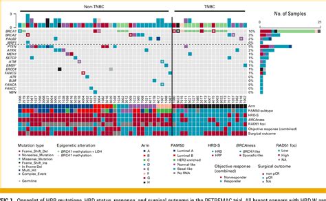 Figure 1 From Homologous Recombination Deficiency Across Subtypes Of