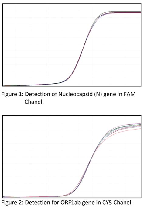 2019 Novel Coronavirus Covid 19 Multigene Real Time Pcr Kit Systaaq