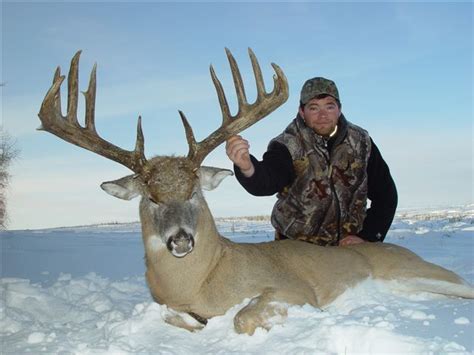 World Record Highest Point Deer