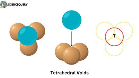 Tetrahedral Voids Structures And Types Sciencequery
