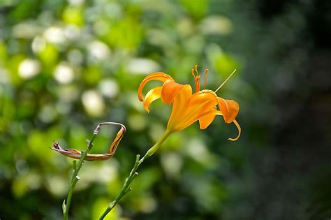 Php图片加上水印相关文章 程序员文章站 Php图片加上水印相关文章 程序员文章站