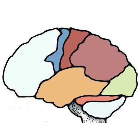 Create Comics Meme Illustration Brain The Exact Structure Of My Brain Comics Meme