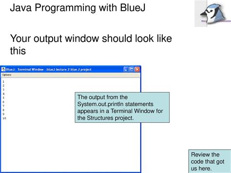 bluej terminal window not opening