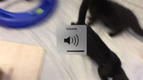 The Most Annoying Things About Ios For Iphone Ios Iphone Gadget Hacks