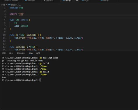 Go语言封装、继承与多态：go语言 封装类 Csdn博客