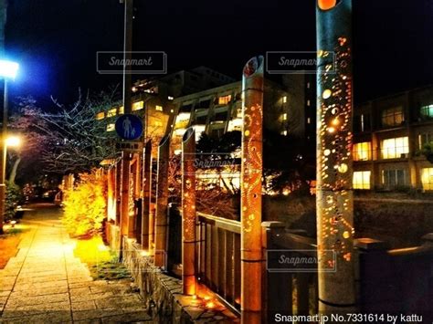ライトアップされた夜の道の写真・画像素材 7331614 Snapmart（スナップマート）