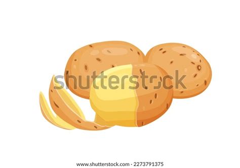 Potatoes Vector Illustration Isolated On White Stock Vector Royalty