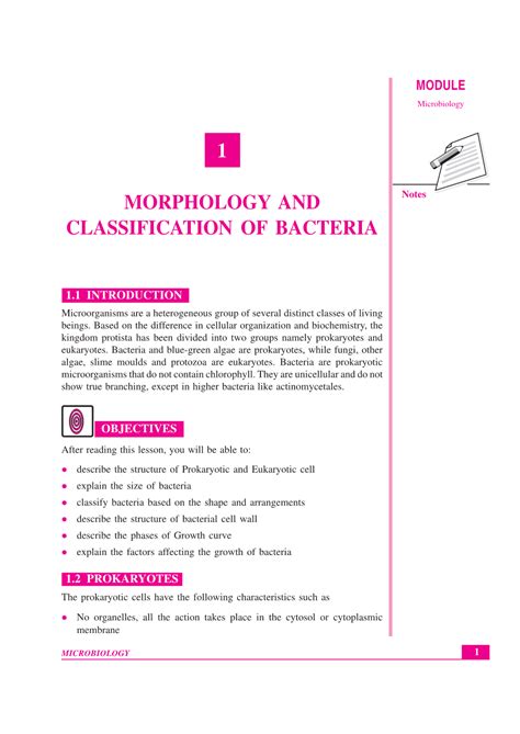 Lesson 1 Morphology And Classification Of Bacteria Docslib