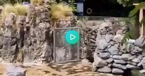 Reverse Reverse Album On Imgur