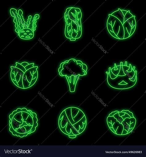 Agriculture Cabbage Icons Set Neon Royalty Free Vector Image