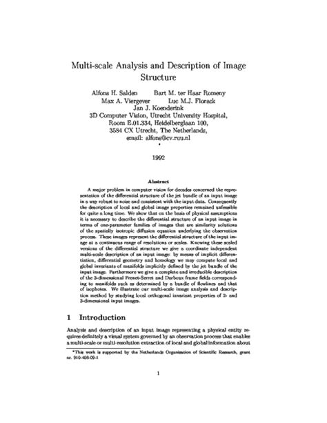 Pdf Multi Scale Analysis And Description Of Image Structure