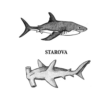 АКУЛА в стиле 2D, Графика на Illustrators.ru