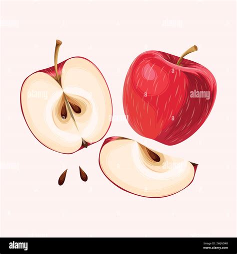 Set Of Apples Stock Vector Image Art Alamy