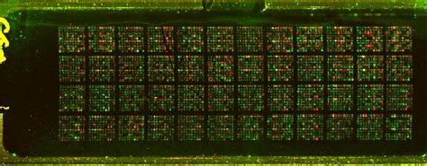 Figure 11 From Efficient Gridding And Segmentation For Microarray