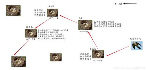 莱维飞行matlab作图通俗易懂的布谷鸟算法与莱维飞行，附求解函数最小值matlab源码 Go语言中文社区 Csdn博客