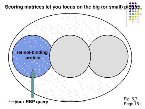 Ppt Position Specific Iterated Blast Psi Blast Powerpoint Presentation Id 3401686
