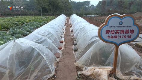 提高教育质量 写好教育答卷 2022年岳阳市基础教育教学工作会议在汨罗召开