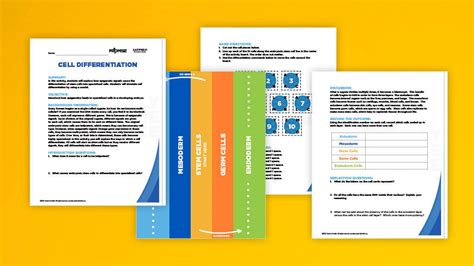 Cell Differentiation Activity Printable Sanford Promise