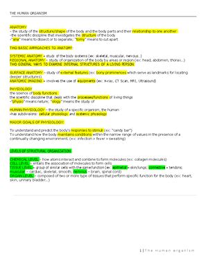 Conceptual Framework Template IPO Model Social Psychology INPUT Insert Here The Inputs Of