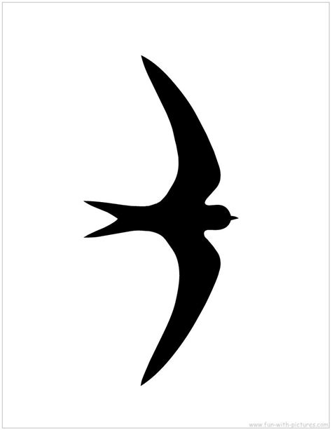 Swift Bird Sleeping Clipart