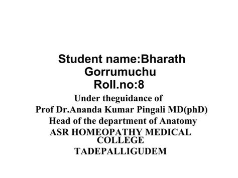 Peripheral Nerve Structure And Classification Pdf