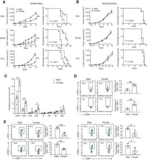 Androgen Signaling Contributes To Sex Differences In Cancer By