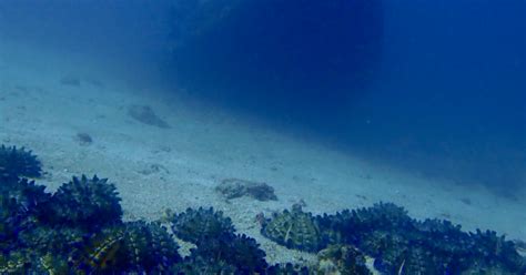 IncreÍble Descubrimiento Encuentran Una Reliquia Romana De Hace MÁs De