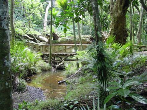 What S Outside The Fence Matters Too Predator Free NZ Trust