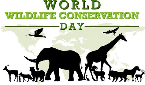 World Wildlife Conservation Day Poster Template 12822557 Vector Art At