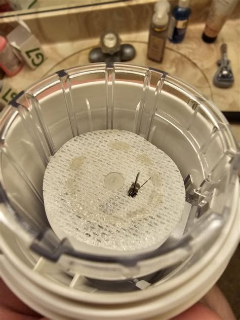 Will This G7 Sensor Work Rdexcom