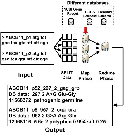 Flowchart Of The Proposal Download Scientific Diagram