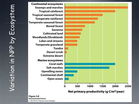 Ppt Ecosystem Productivity Powerpoint Presentation Free Download Id 1950721
