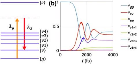 Principle Of Srs Processes A Energy Level Diagram Of Srs B
