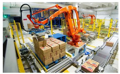 Must Read For Manufacturing Understanding Palletizing Robots