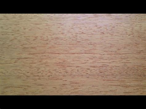Натуральные обои из дерева