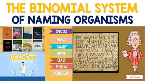 Binomial System Of Naming Organisms Biology Animation Youtube