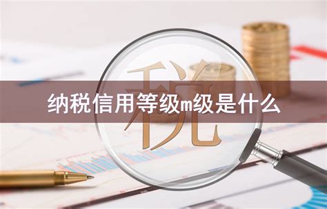 纳税信用等级m级是什么 会计网