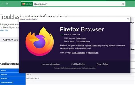 Firefox Not Working On Windows 11 6 Solutions To Apply
