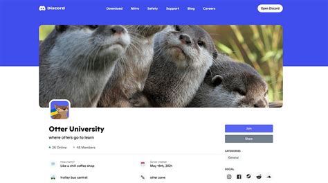 New Discord Server Web Page Feature Netcord Articles