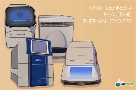 Real Time Pcr Machine