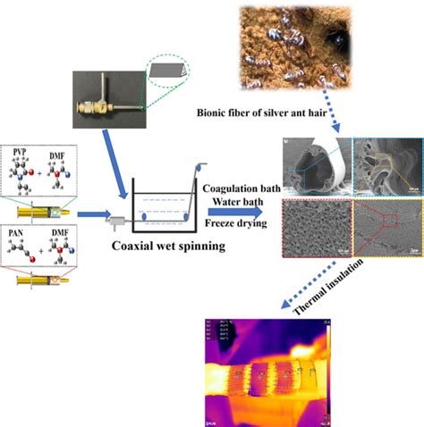 Preparation And Characterization Of Triangular Hollow Porous Polyacrylonitrile Fiber Made By