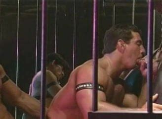 Tom Katt Gay Porn Videos 2025 Porn Star Sex Scenes XHamster