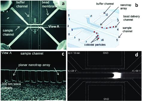 Schematic Illustration Of The Microfluidic Device Made From Download Scientific Diagram