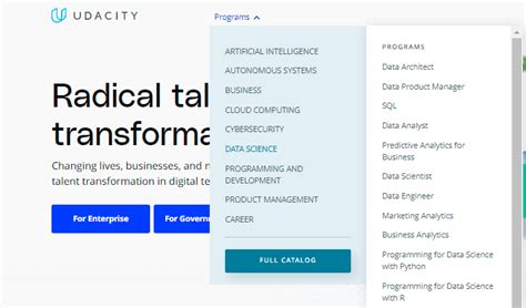 Datacamp Vs Udacity Which Is Better