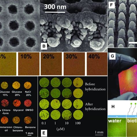 Pdf Plasmonic Nano Arrays For Ultrasensitive Bio Sensing