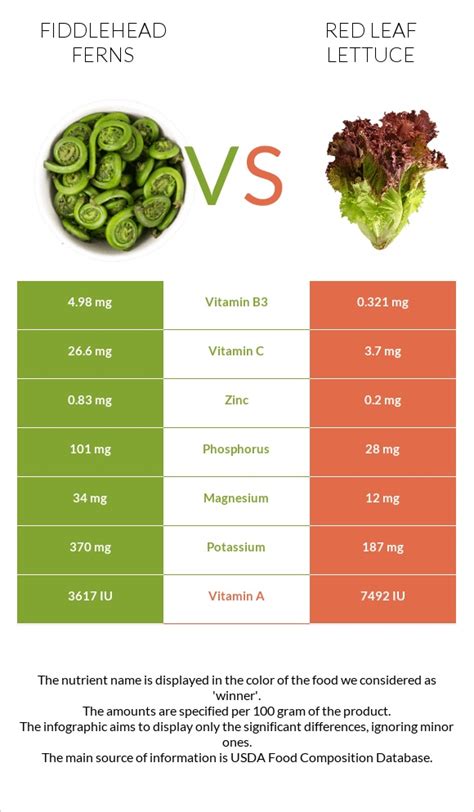Fiddlehead Ferns Vs Red Leaf Lettuce — In Depth Nutrition Comparison