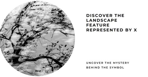 2025 Which Landscape Feature Is Represented By X Archova Visuals