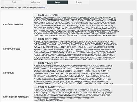 Setting Up An Openvpn Server With Tomato Router And Viscosity Sparklabs