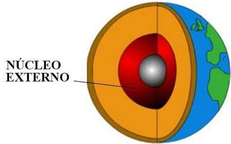 Musculos Do Nucleo Externo