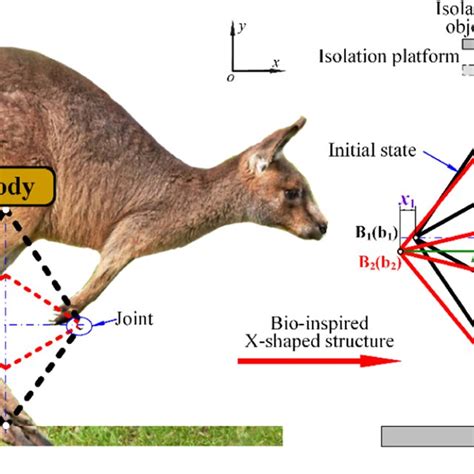 The Structure Diagram Of A Bio Inspired Embedded X Shaped Vibration Download Scientific Diagram